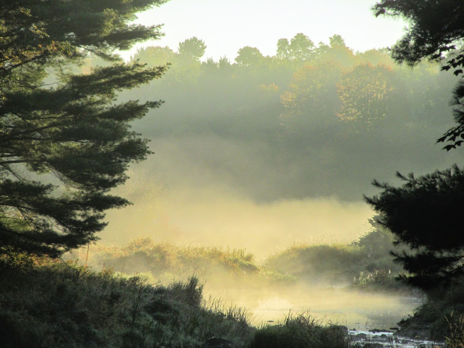 The Passionate Hiker: The Rideau Trail: Narrows Lock Road (08C) to ...