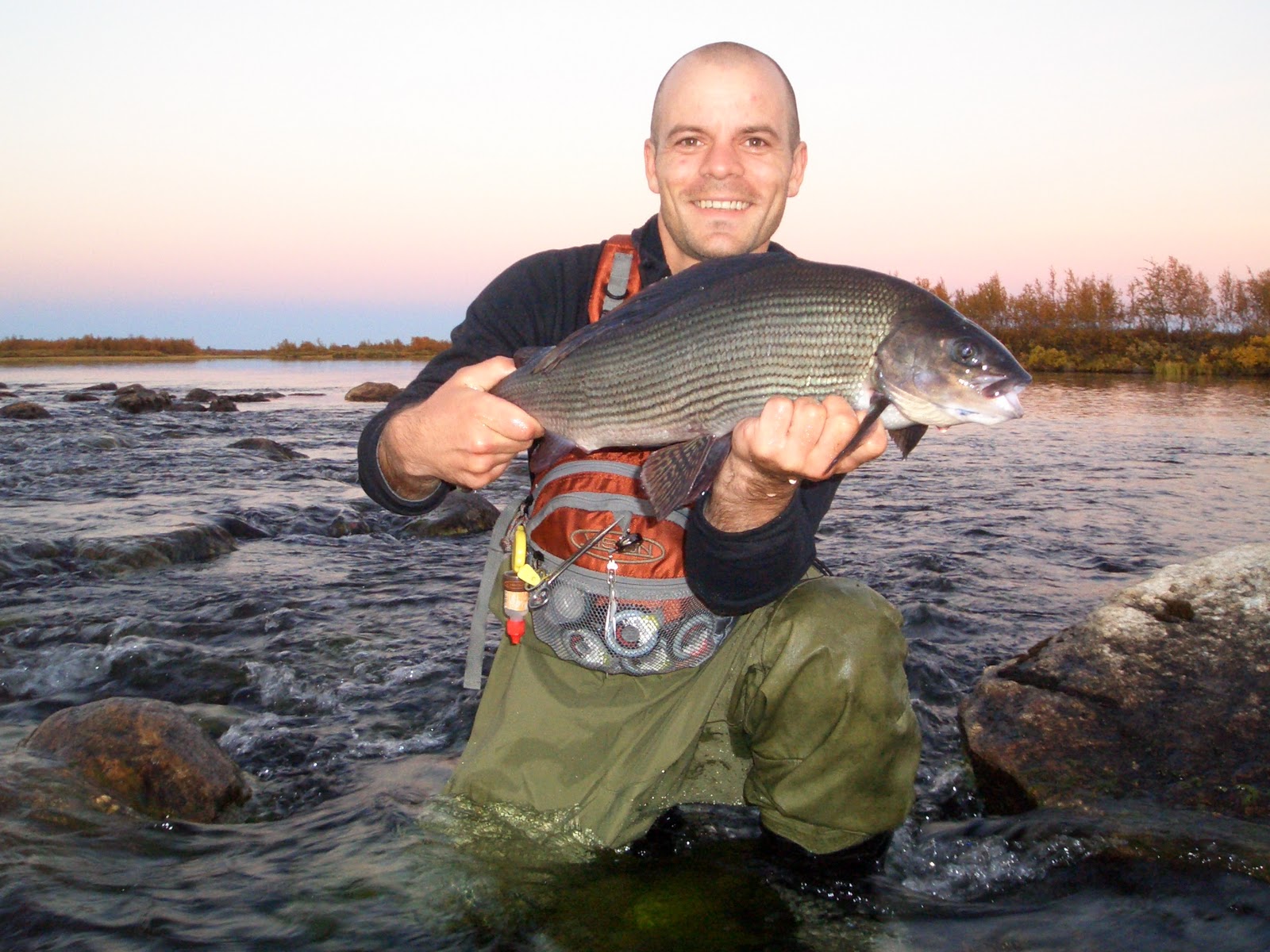 Fly fishing in Finland: Record Graylings!