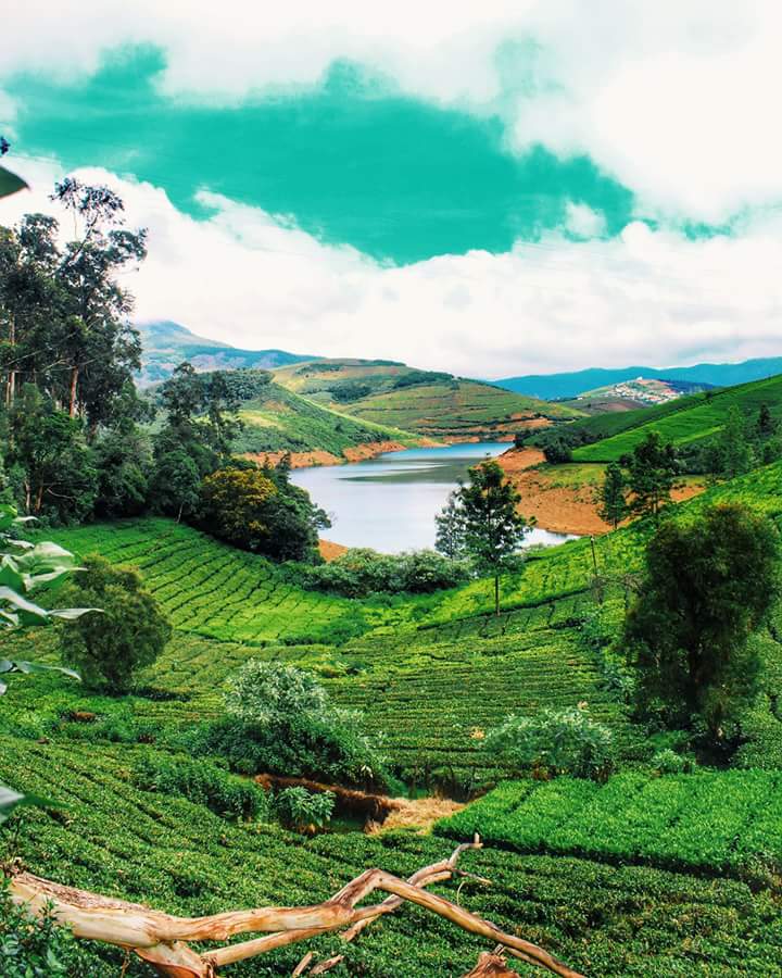 Tamilnadu Tourism: Avalanche Lake, Ooty, Nilgiris