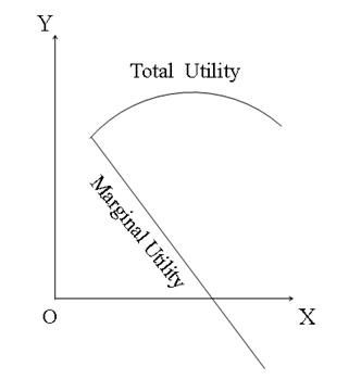 The Law of Diminishing Marginal Utility - Oscar Education/Economics