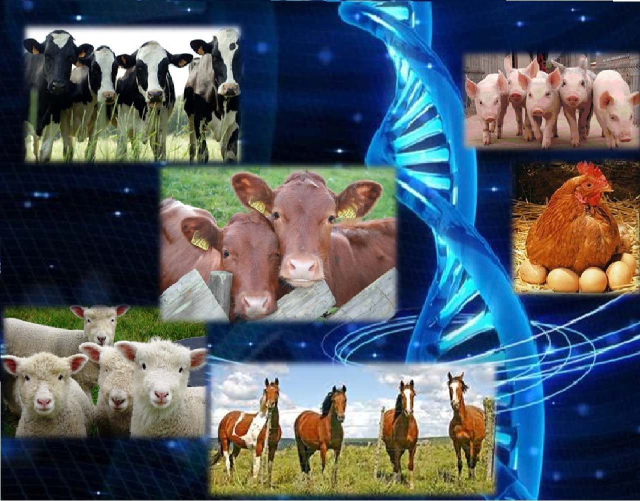 Zootecnia: Ganaderia Bovina en el siglo xxi