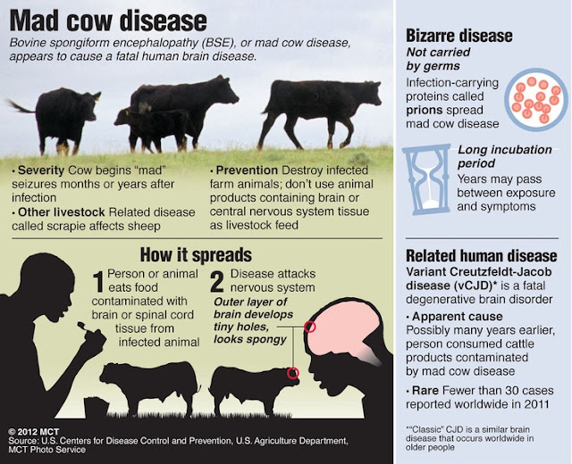 Biology Behind: Prion Disease (Natures Doomsday Disease) - Science in ...