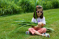 The 3 Foragers: Foraging for Wild, Natural, Organic Food: Cattail ...