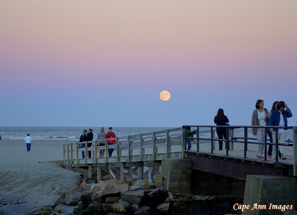 Cape Ann Images: Blood Moon and Eclipse!