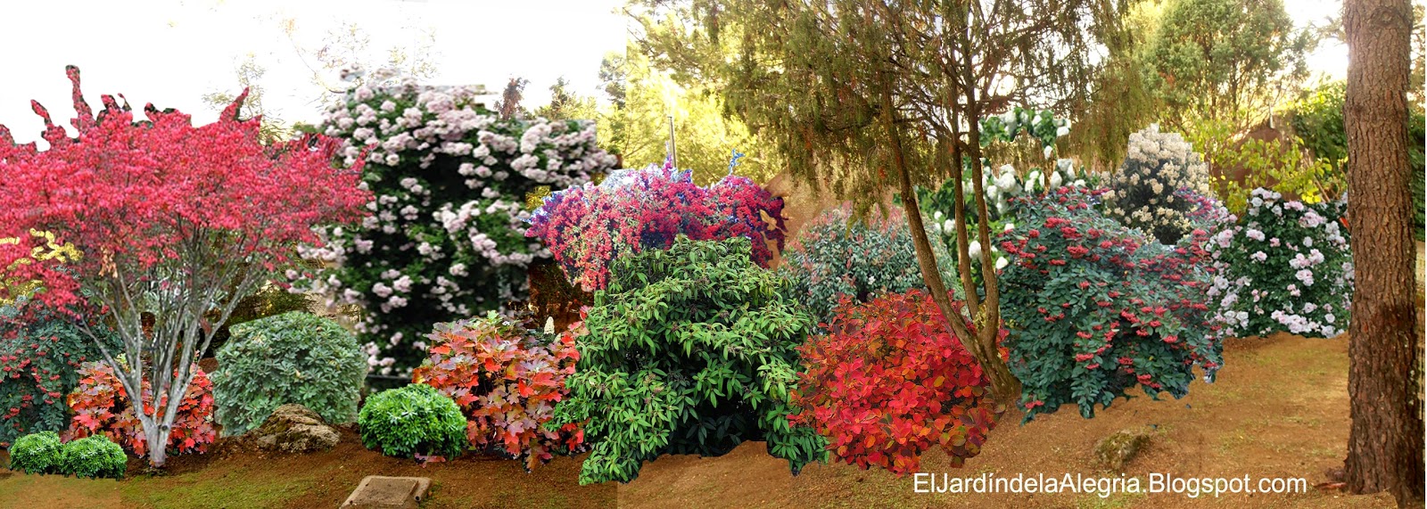 El jardín de la alegría : Seto libre en una zona del límite sur del ...