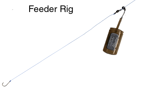 A Pesca do Jorge Santos: feeder no rio