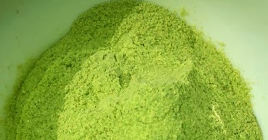 Ode to the Sacred Cacti: San Pedro Cactus Powder Incense