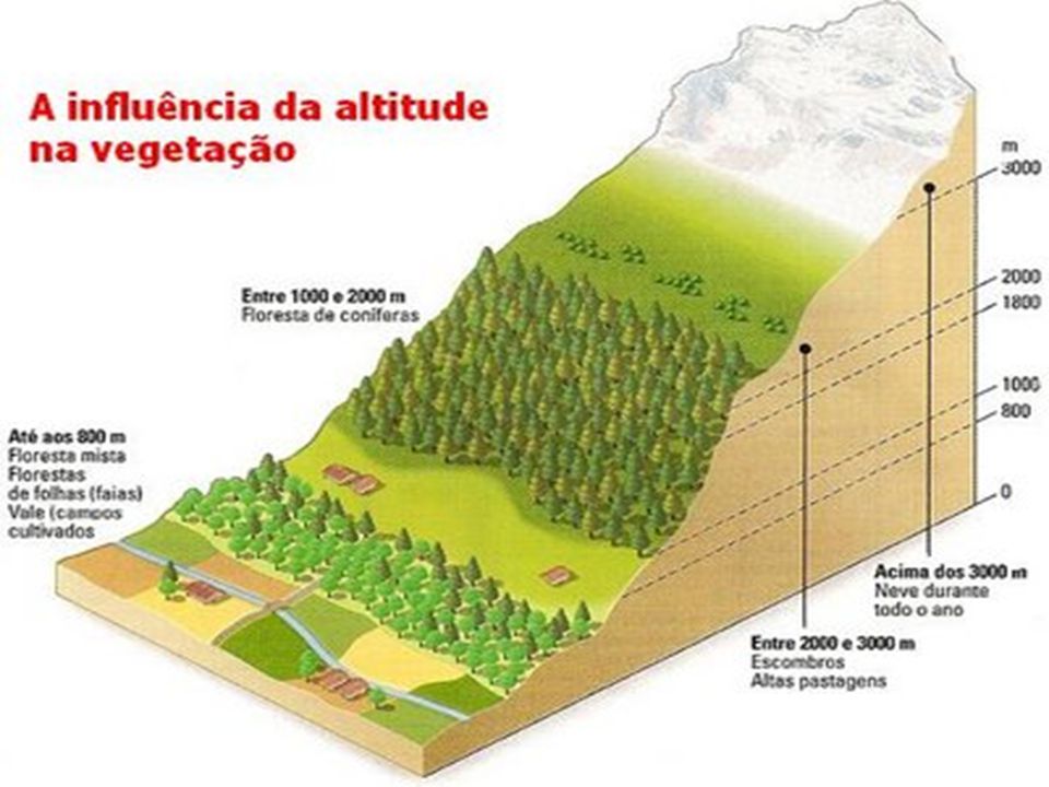 Ciências Humanas - CEEJA "PROFº JOÃO SEGURA" - PENÁPOLIS(SP ...