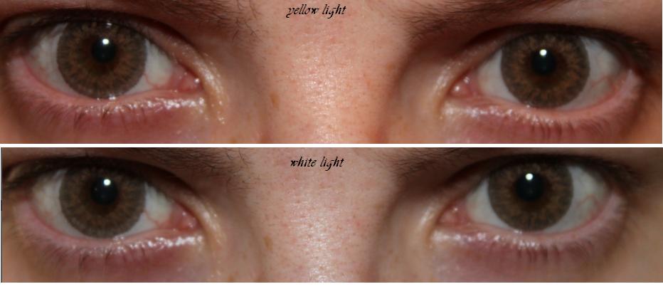 SOÑANDO EN TECNICOLOR: GEO TRI COLOR BROWN