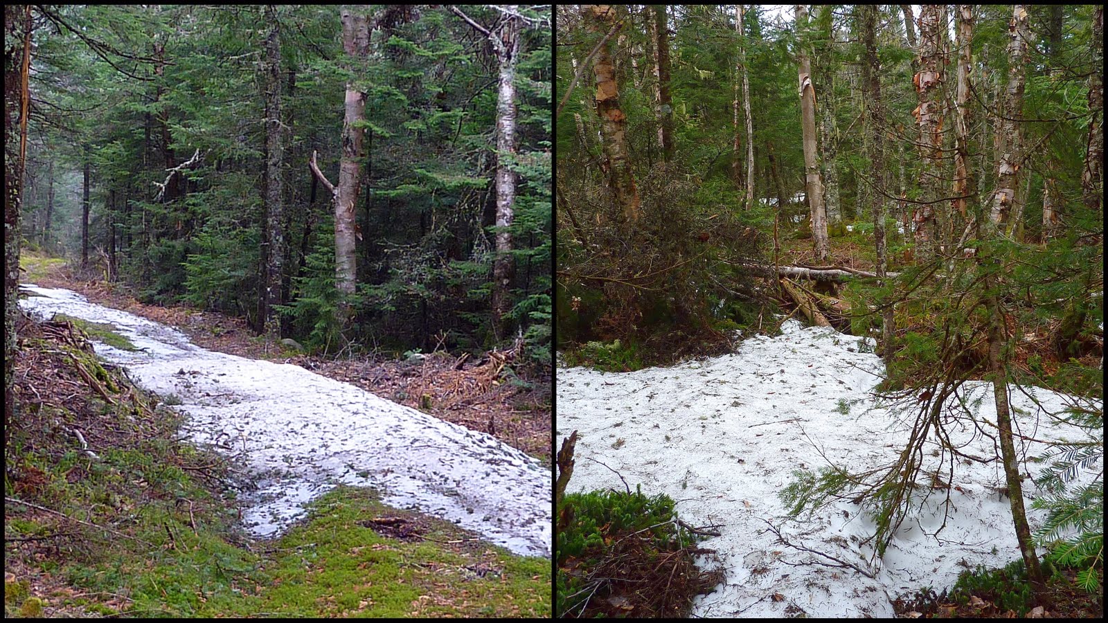 1HappyHiker: Between the Rains: A Trek to Cherry Mountain
