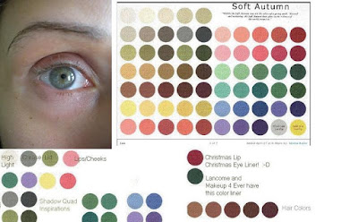 Beauty and Elegance: EYE Harmony