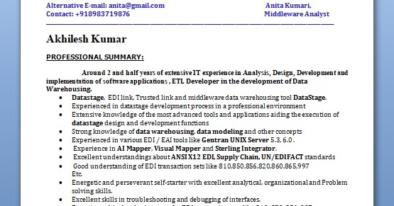 Middleware Analyst Sample Resume Format in Word Free Download