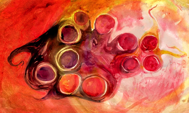 Elizabeth E. Schuch: Creative Portfolio for Film, TV, Stage: TV ...