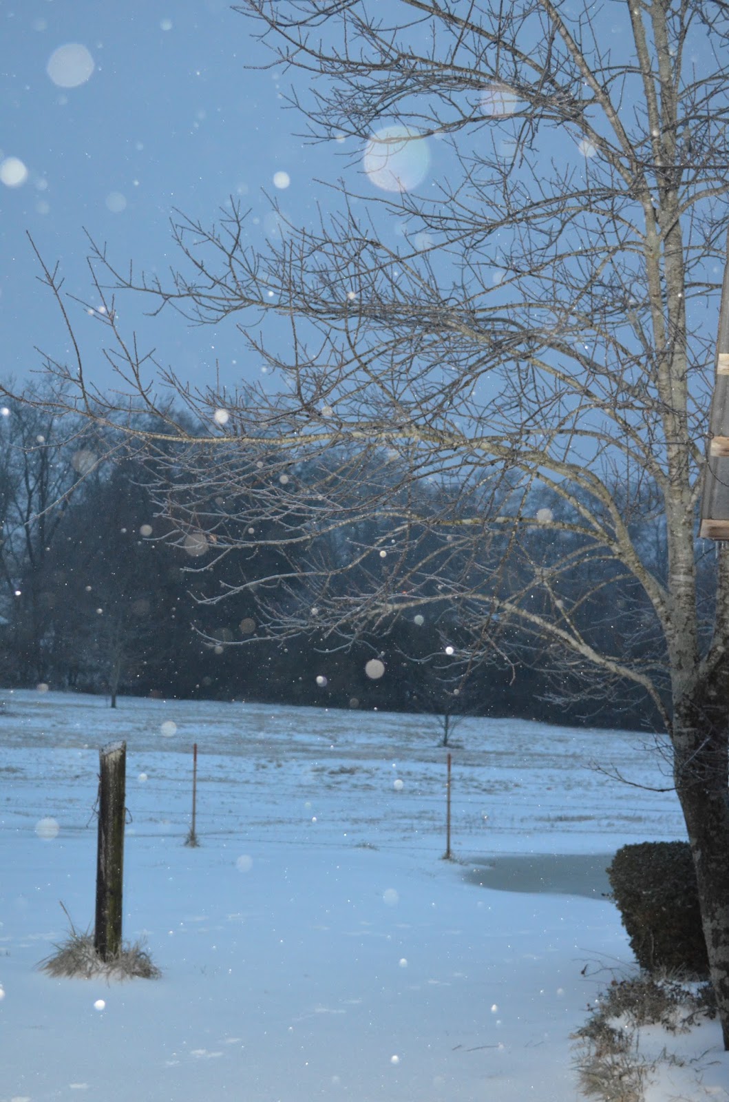 Baseball-Diamonds & Hairspray: Snowpocalypse Feb 2014