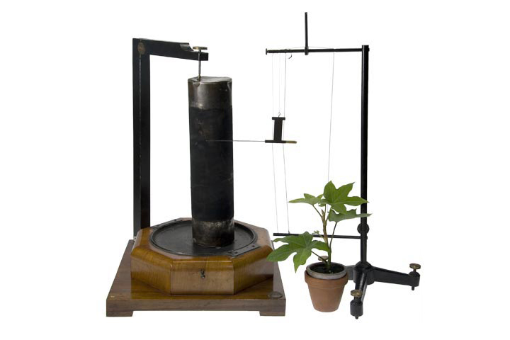 Mengenal Auxanometer - Diyan Doyan