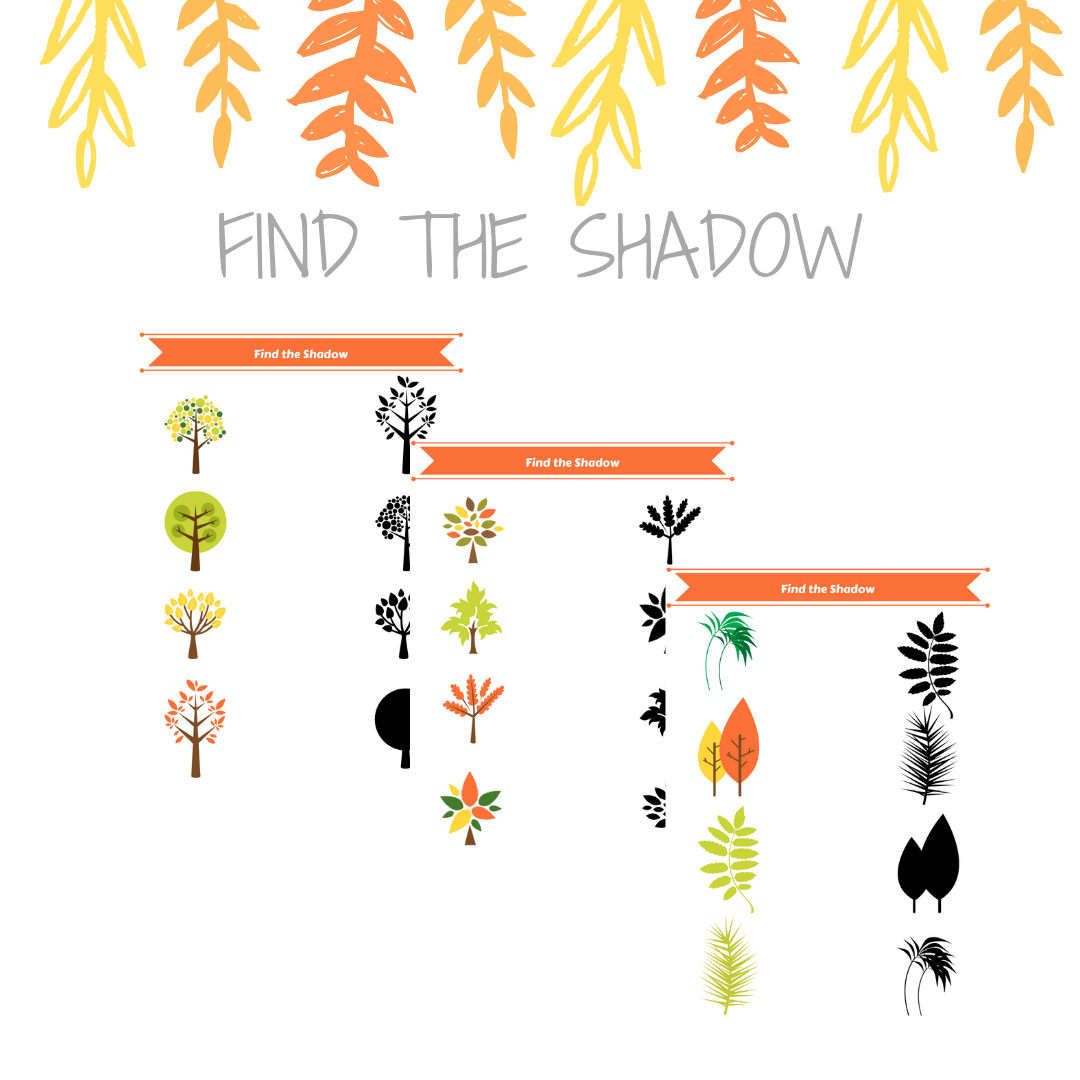petit worlds: Find the Shadows of Trees and Leaves