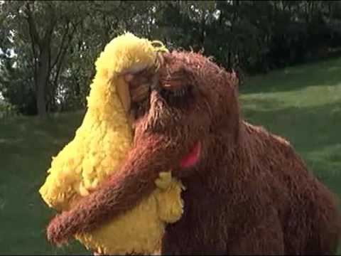 Sesame Street Follow That Bird Dodo