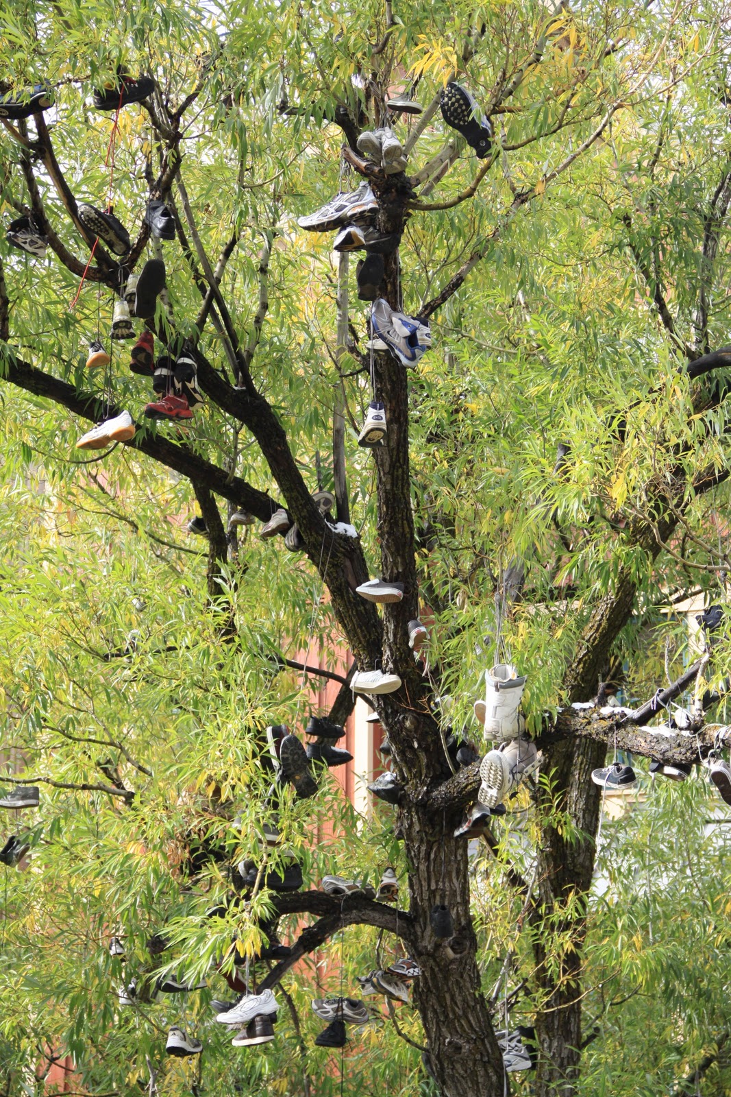 My Scenic Byway: There's Even a Shoe Tree in Park City!
