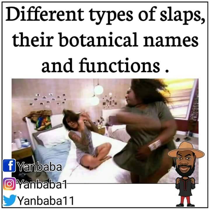 Stella Dimoko Korkus.com: Different Types Of Slaps And Their Botanical ...