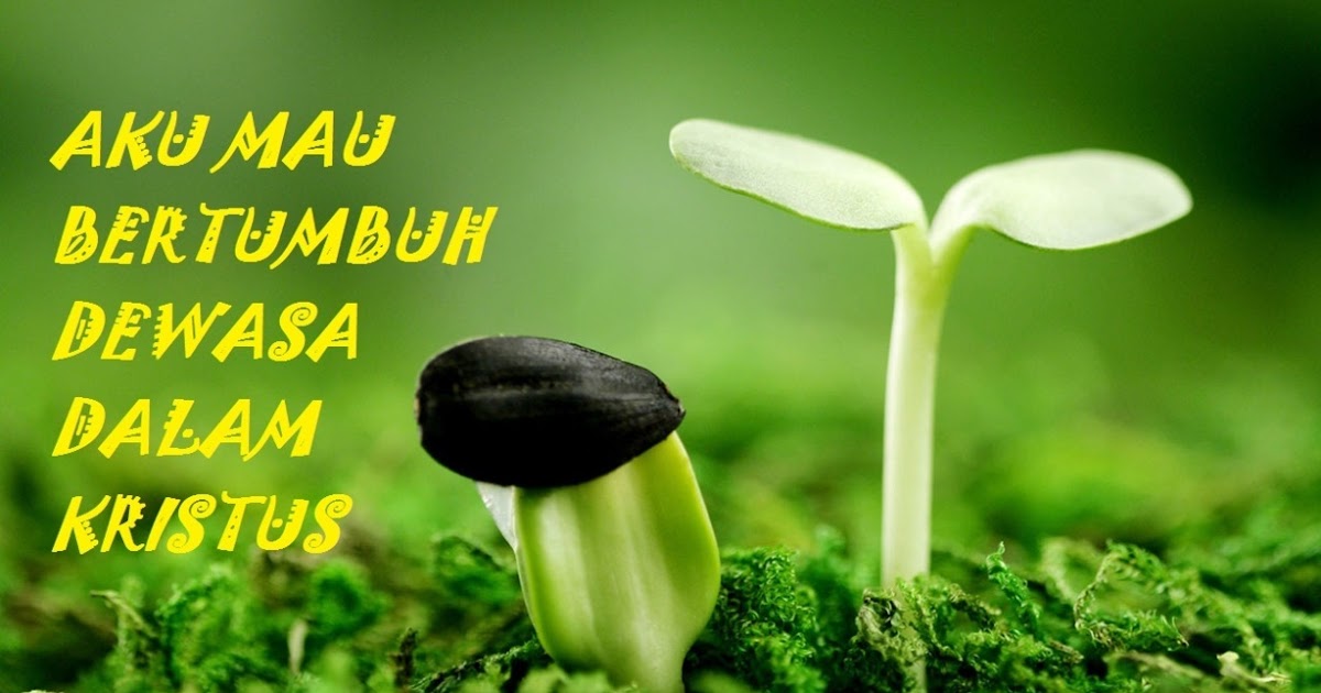 Menjadi Serupa Dengan Kristus - Renungan Harian