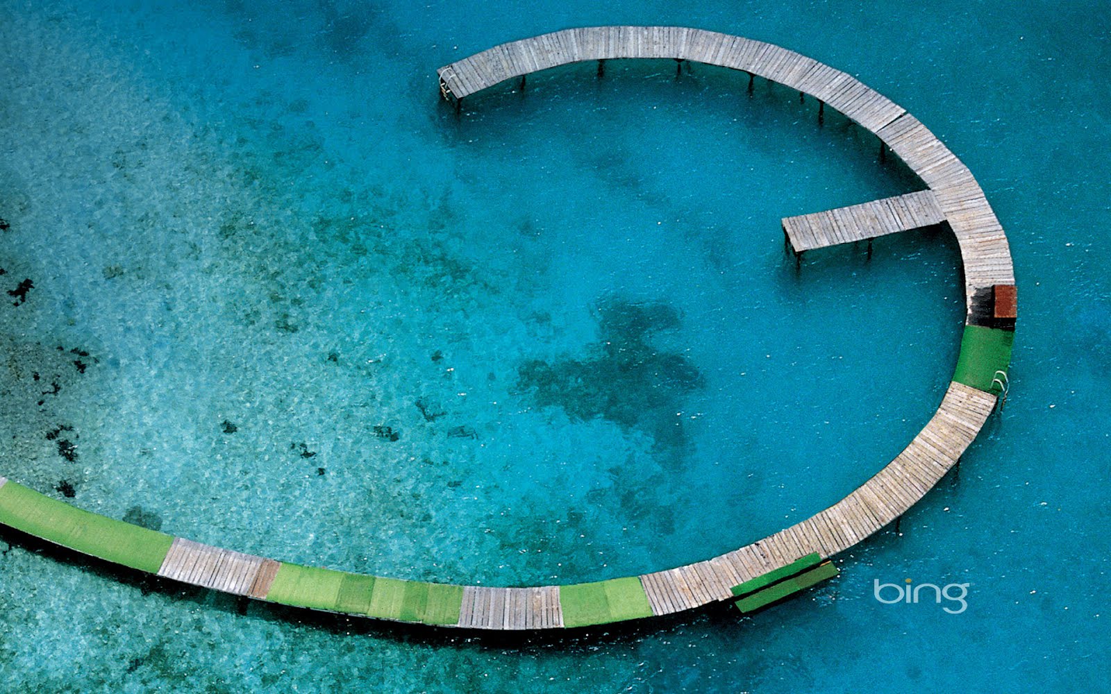 Banco de Imágenes Gratis: Las mejores imágenes de Bing (Parte 1, 40 fotos)