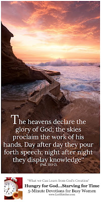 Hungry for God: Consider the ants . . . and the grandchildren – What ...