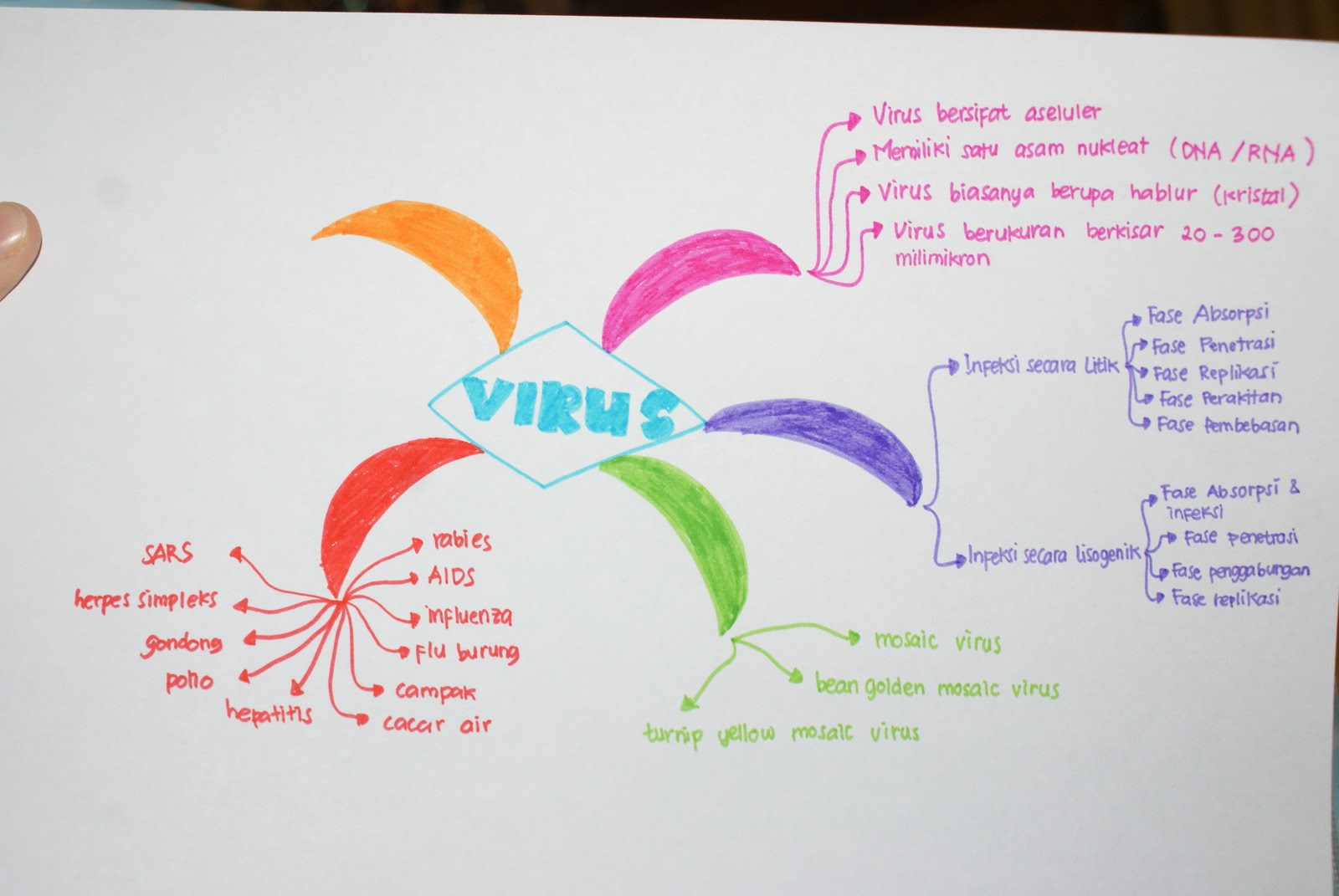 ALFATH ZULFA FADHILAH'S LIFE STORY: Mind Map : Virus ( Biologi )