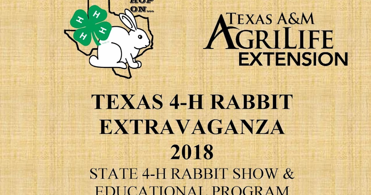 Texas 4-H Practitioner's Blog: Texas 4-H Rabbit Extravaganza