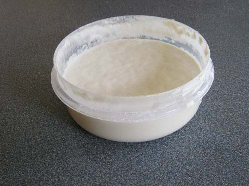 Side Trips: THE PROMISE OF The Next Loaf OR--WHITE OOBLECK