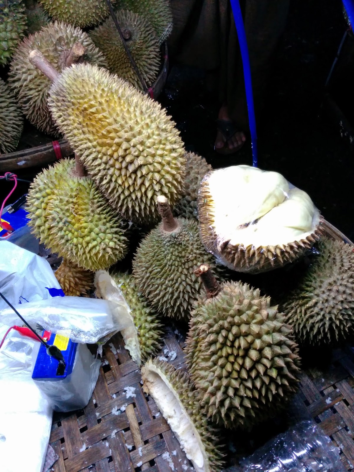 Durian Info: Durian Seasons In Durian Production Areas