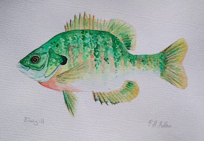 The Fiberglass Manifesto: P. H. Kellner's Bluegill Artwork