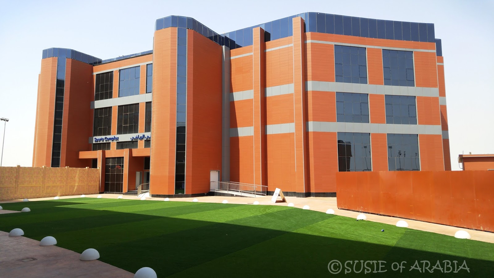 SUSIE of ARABIA: Waad Academy