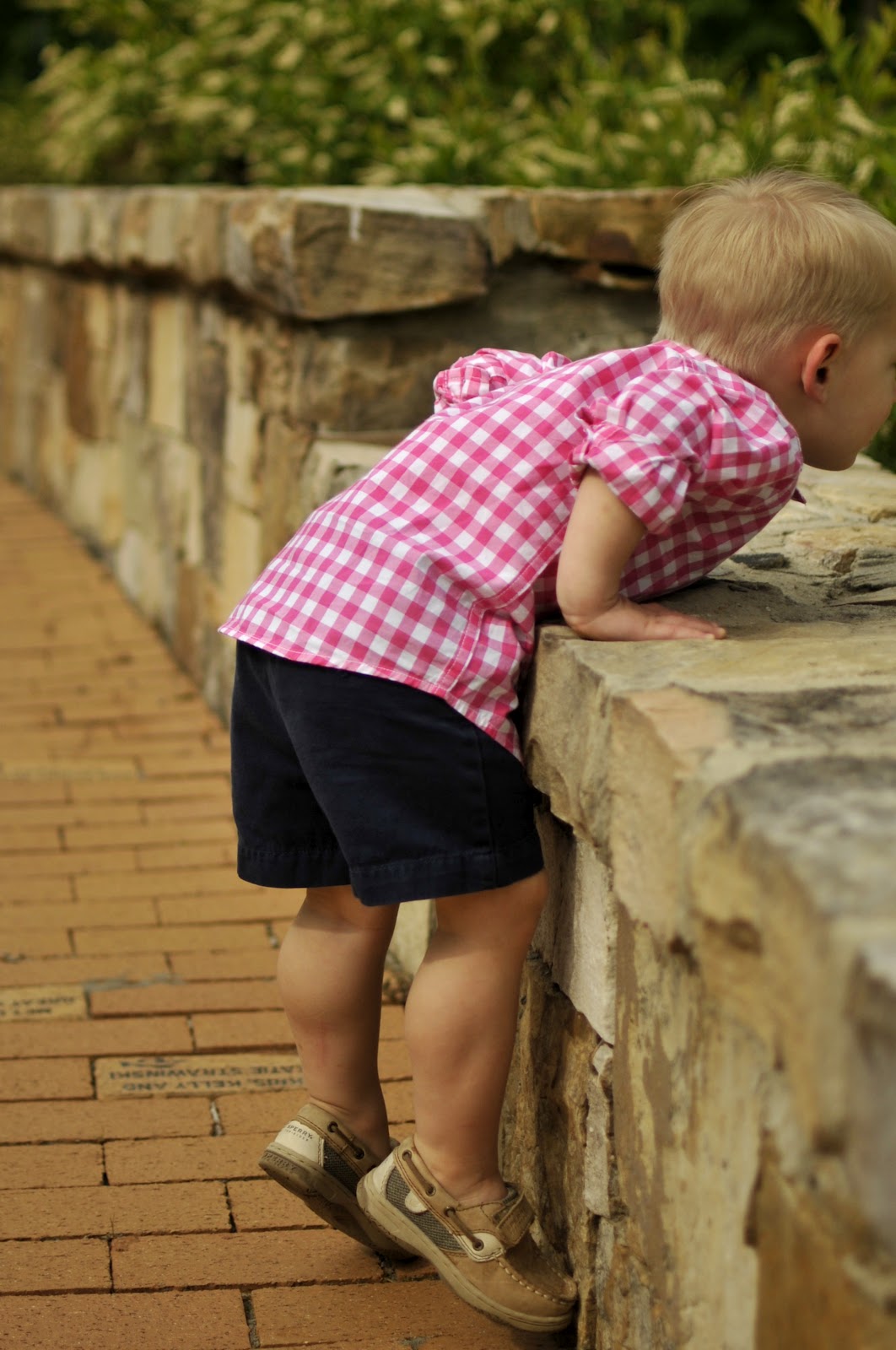 Minton Family Blog