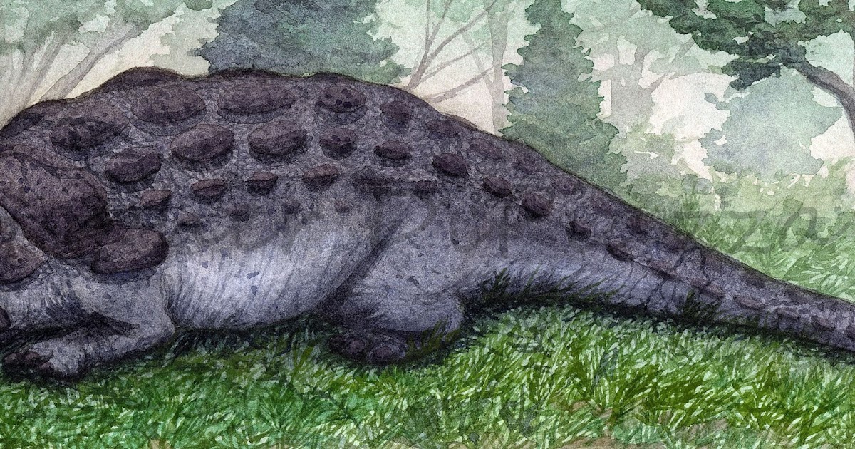 Ankylosaurus