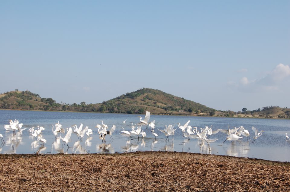 LA CIENAGA GRANDE: LA MAJESTUOSA CIÉNAGA GRANDE
