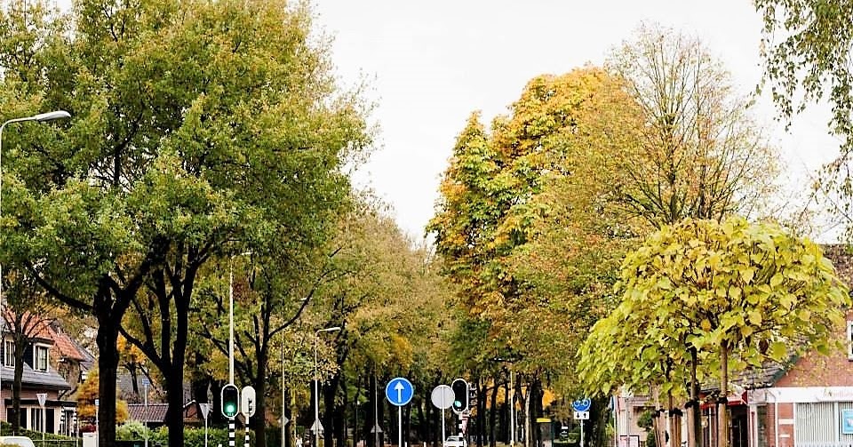 Dorpen en Steden van Nederland: Uddel (Gelderland)