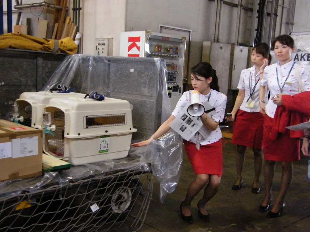 CX staff introducing their ground duty ~ World Stewardess