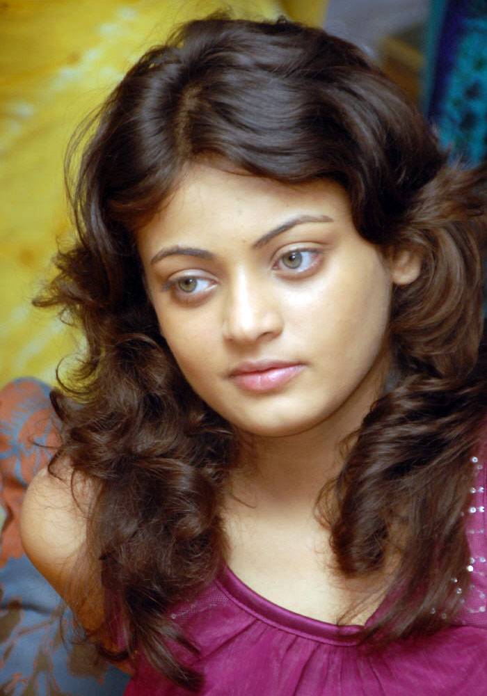 Actress Sneha Ullal Pictures ~ Latest Actress Gallery