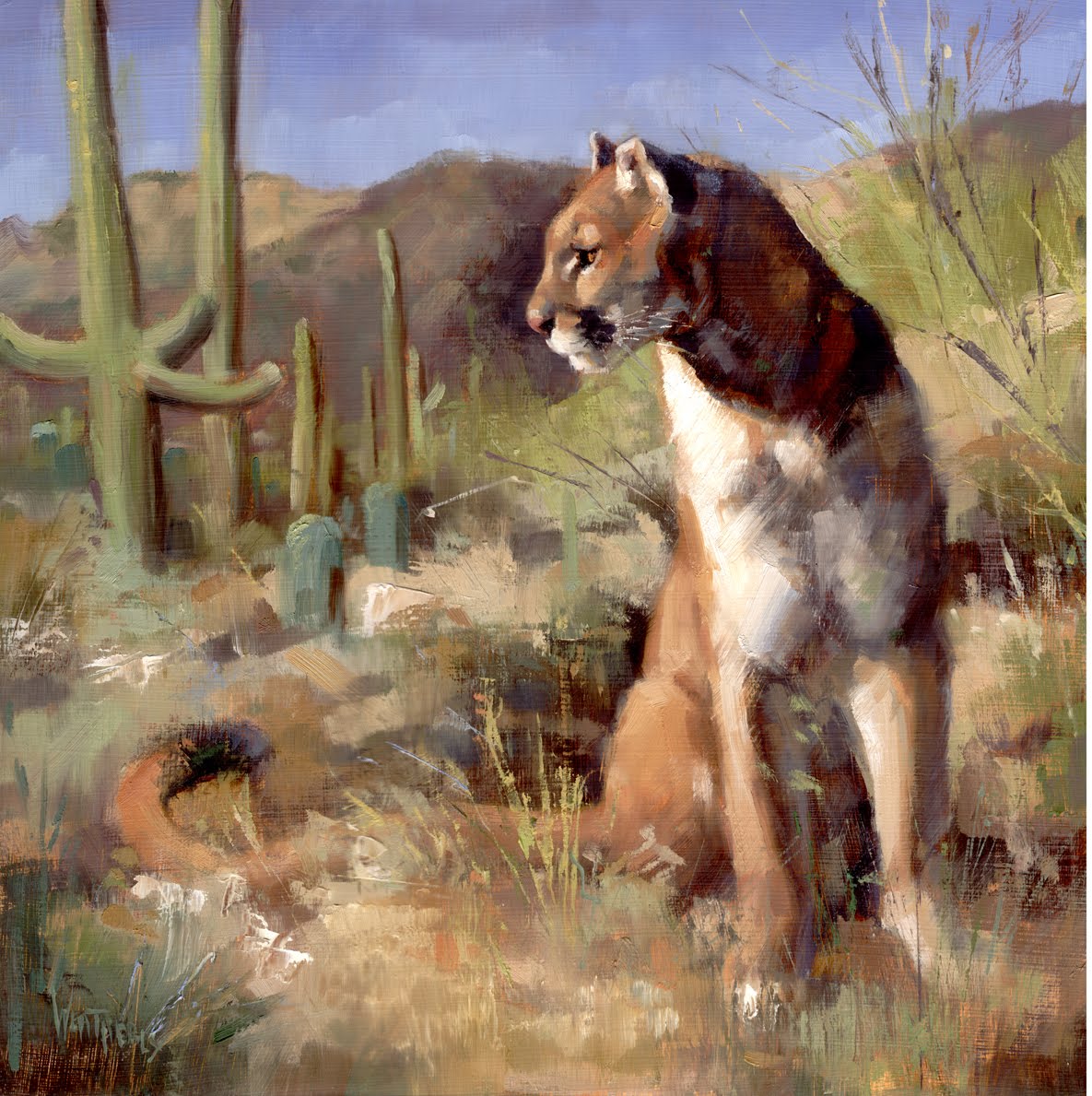Joe Weatherly Fine Art: SONONAN COUGAR
