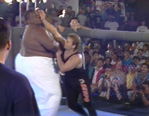 Así comenzó todo ~ El octágono MMA