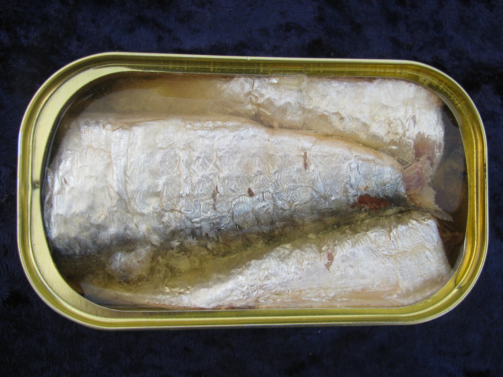 Mouth Full of Sardines: MATIZ GALLEGO-89