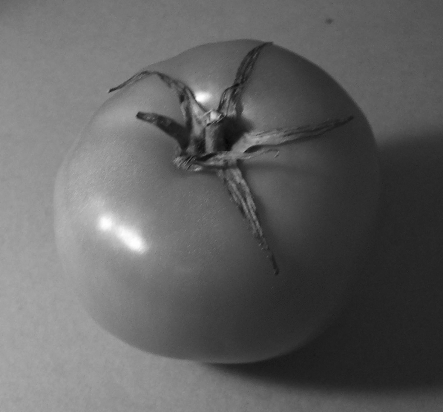 Cynthia Haase Fine Art: Deconstruction of a Resource Photograph