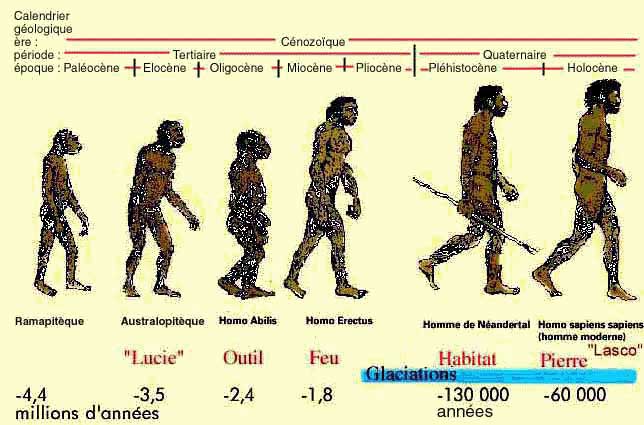 keyoda - le blog: Chronologie évolution
