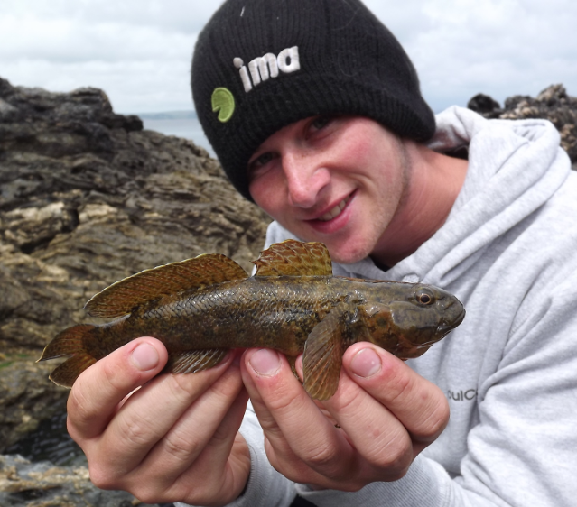 Mission Impossible : To catch 100 species of saltwater fish from ...