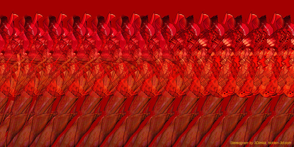 Estereogramas: Estereogramas 1/2/16