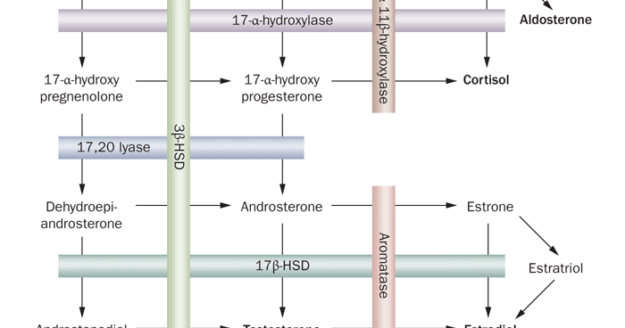 Michael Scally Md Mostly Androgens Targeting 5[alpha] Reductase For