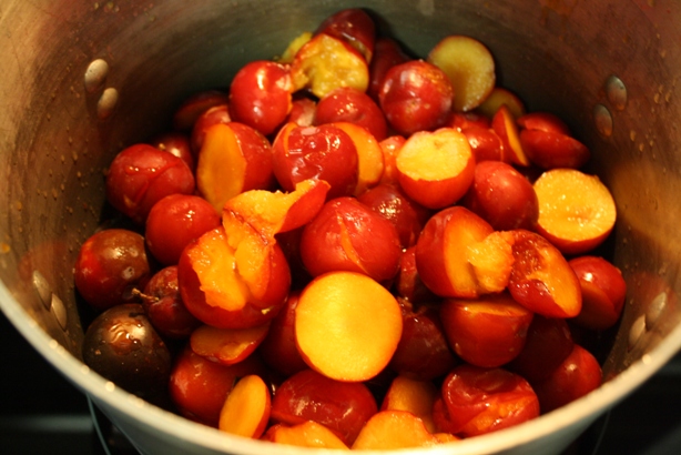 Homemade Plum Jelly — Mommy's Kitchen