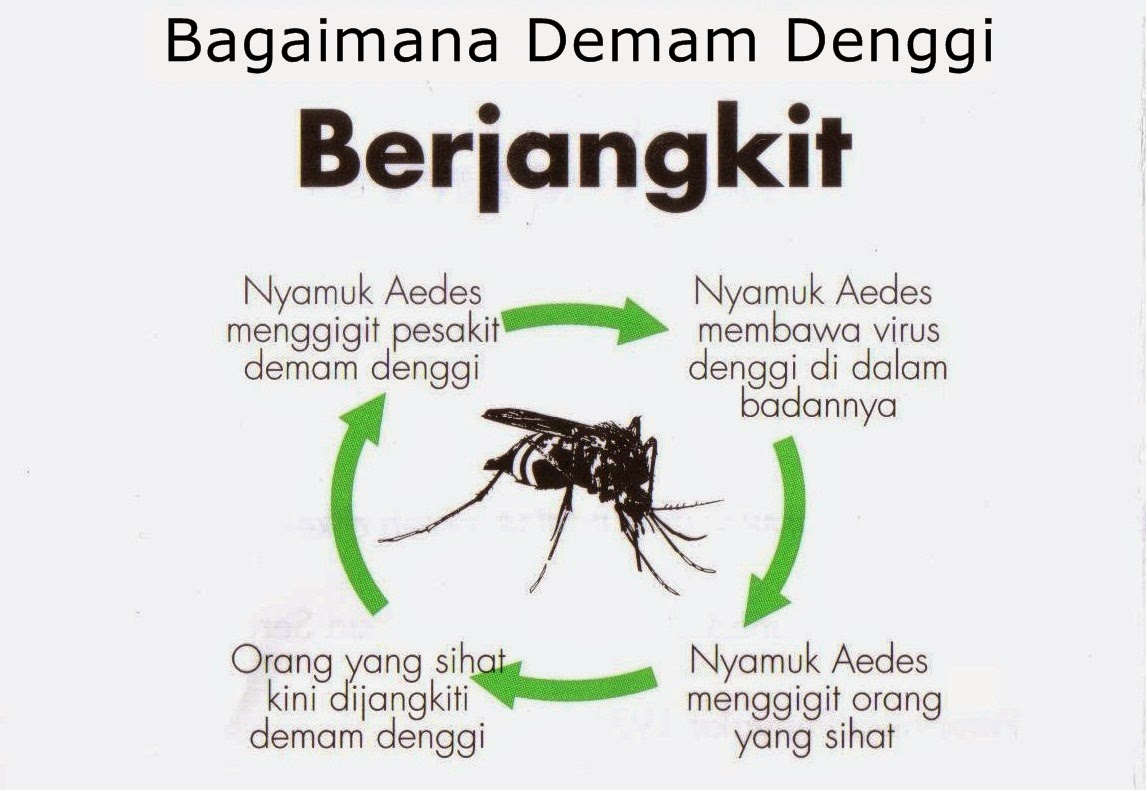 Jom Cegah Denggi Di Sekitar Rumah