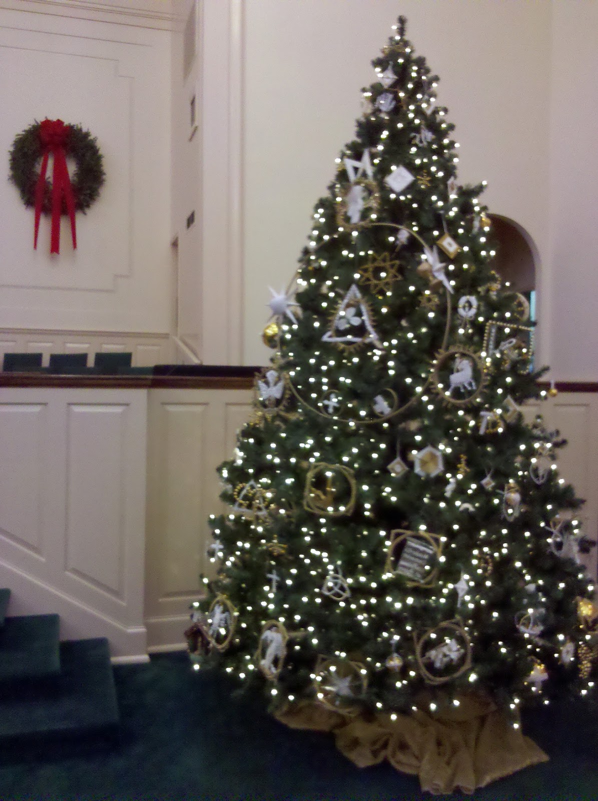 Hey, Hey, It's Ray!: OUR CHRISMON TREE