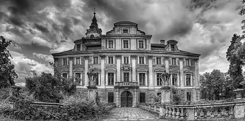 Wizarding World: Prorok Codzienny